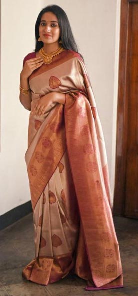 Party Wear, Traditional Beige and Brown color Art Silk, Silk fabric ...